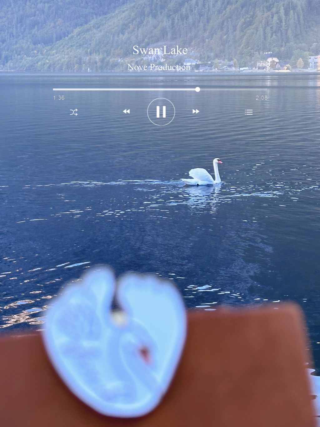 Swan Journal Clip – Nove