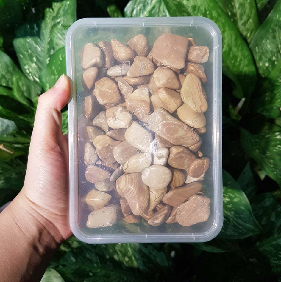 Decorative Pebbles – PLANT & POT STUDIO