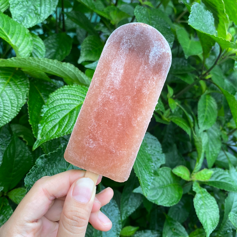 Garden Pops (Pre-Order Batch of 30) – Eats, Shoots & Roots