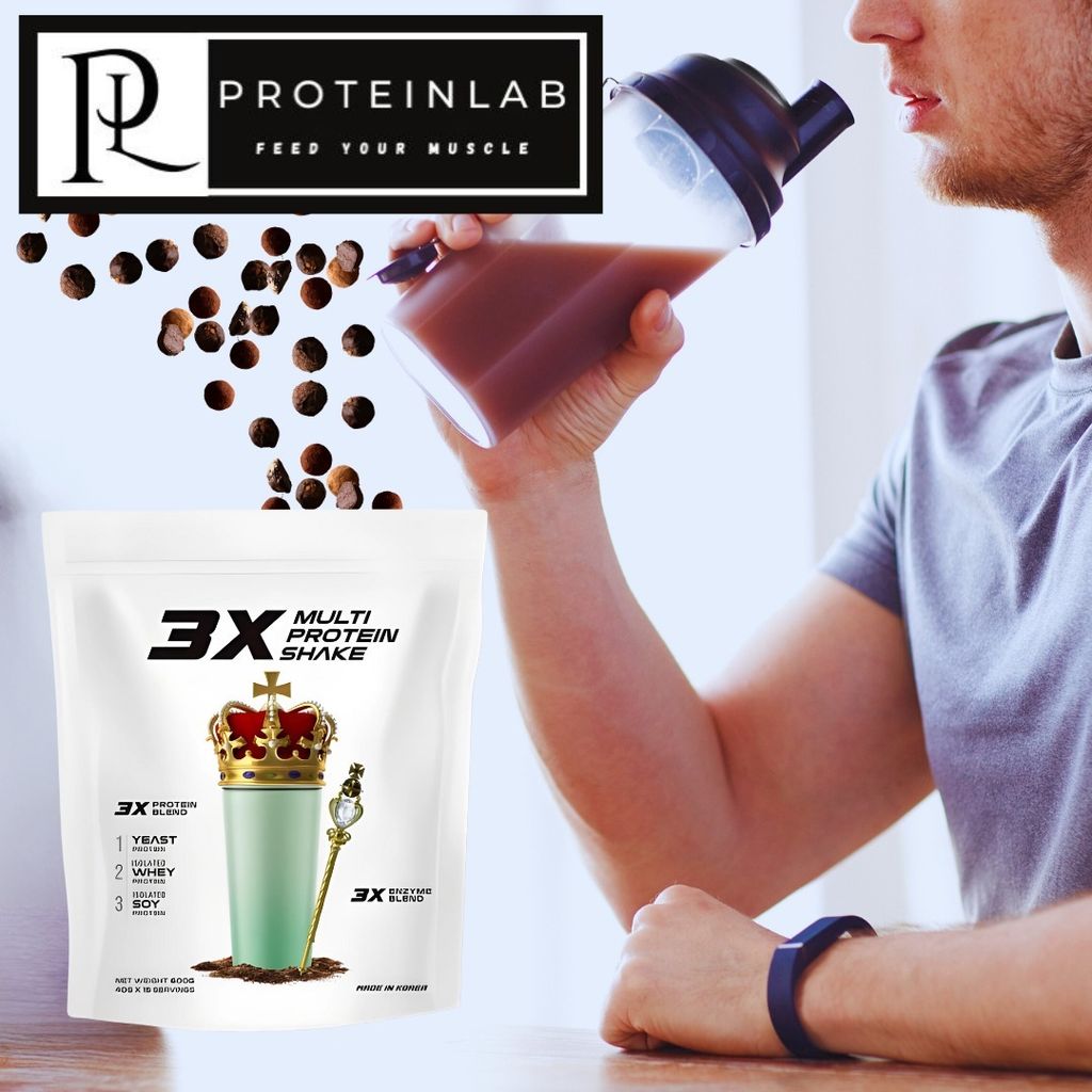 3X MULTI PROTEIN SHAKE (600G) (15 SERVING) – Proteinlab Malaysia ...