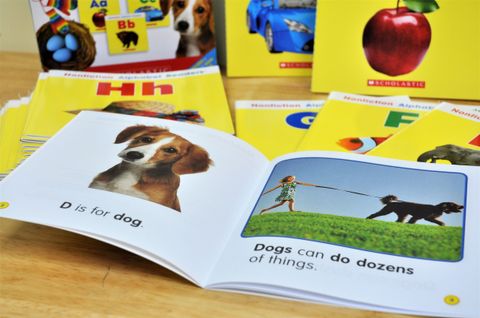 Nonfiction Alphabet Readers Parents Pack (26 titles/1 activity book/16 ...