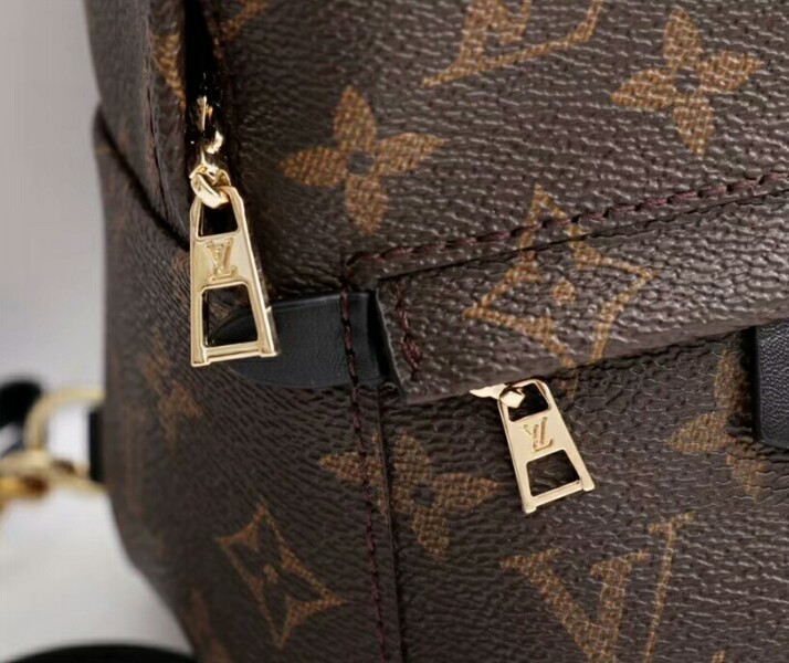 Louis Vuitton Dupe Backpack Purse For Men's | semashow.com