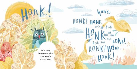 英文繪本 / Snooze owl (PB) – 畫語繪本生活美學館