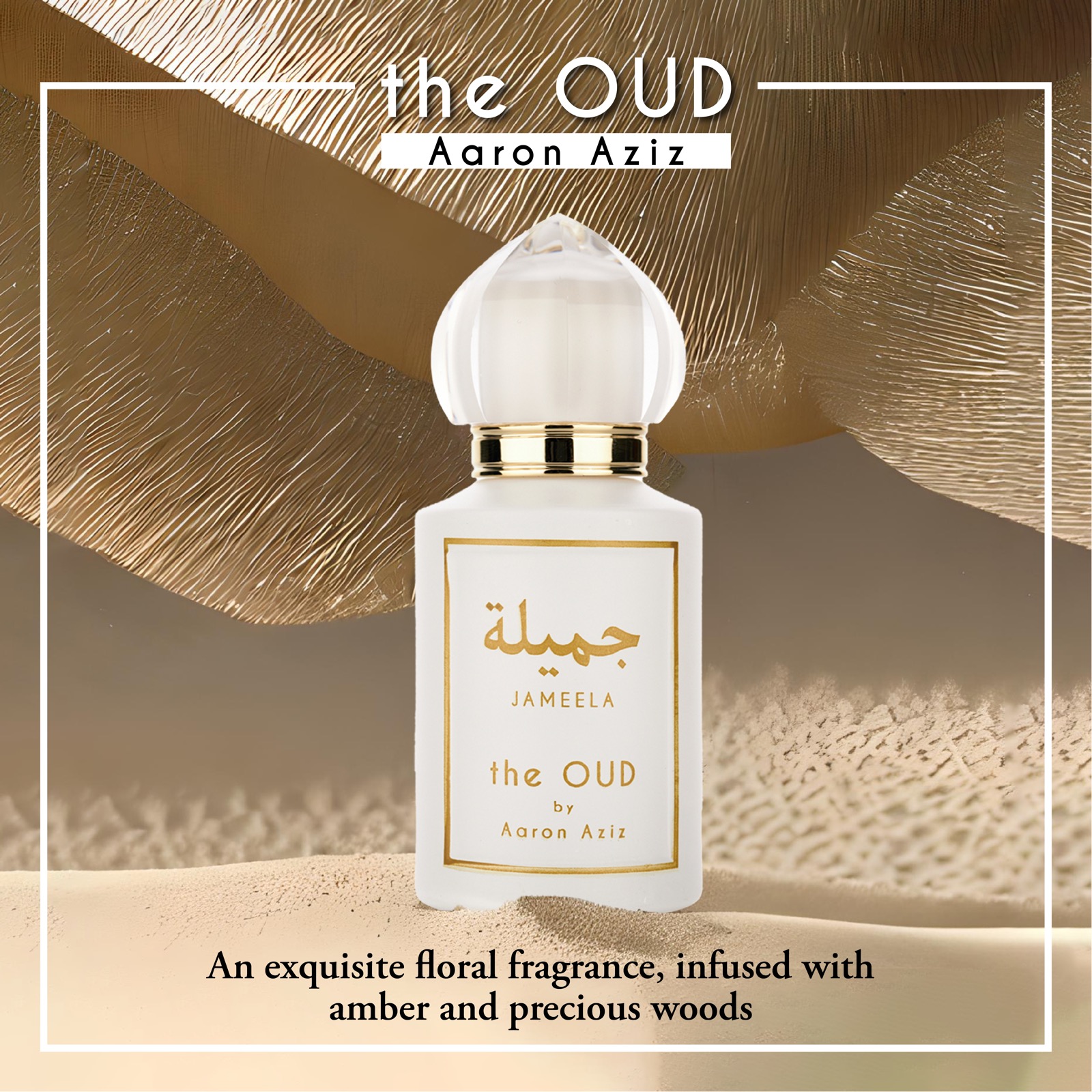 Aaron Aziz – nori.com.my