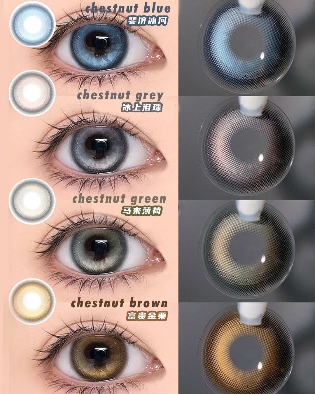Chestnut Contacts On Brown Eyes