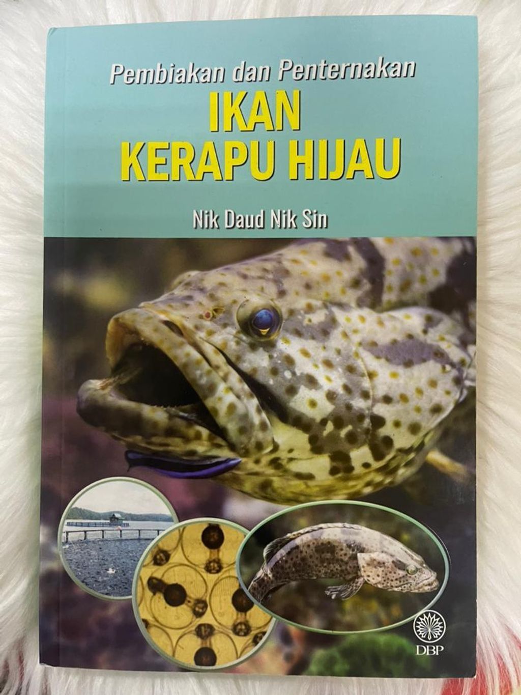 [DBP] Pembiakan dan Penternakan Ikan Kerapu Hijau oleh Nik Daud Nik Sin ...