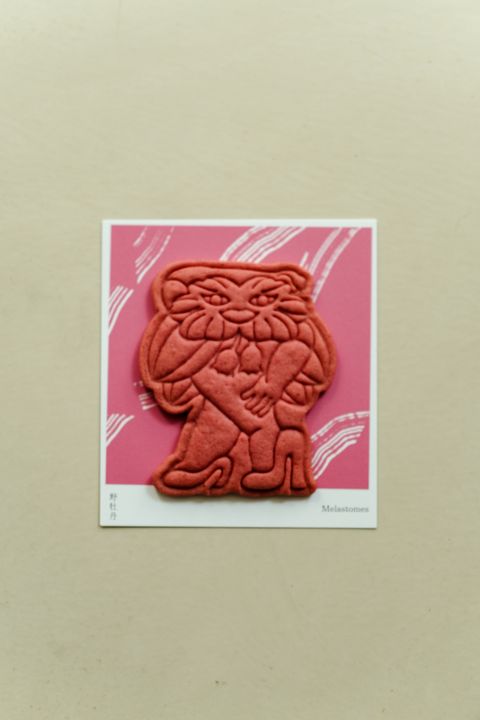 Taiwan Native Plants 海島植物園多色餅乾禮盒（2/7以後出貨） – nationalpark國家公園餅店