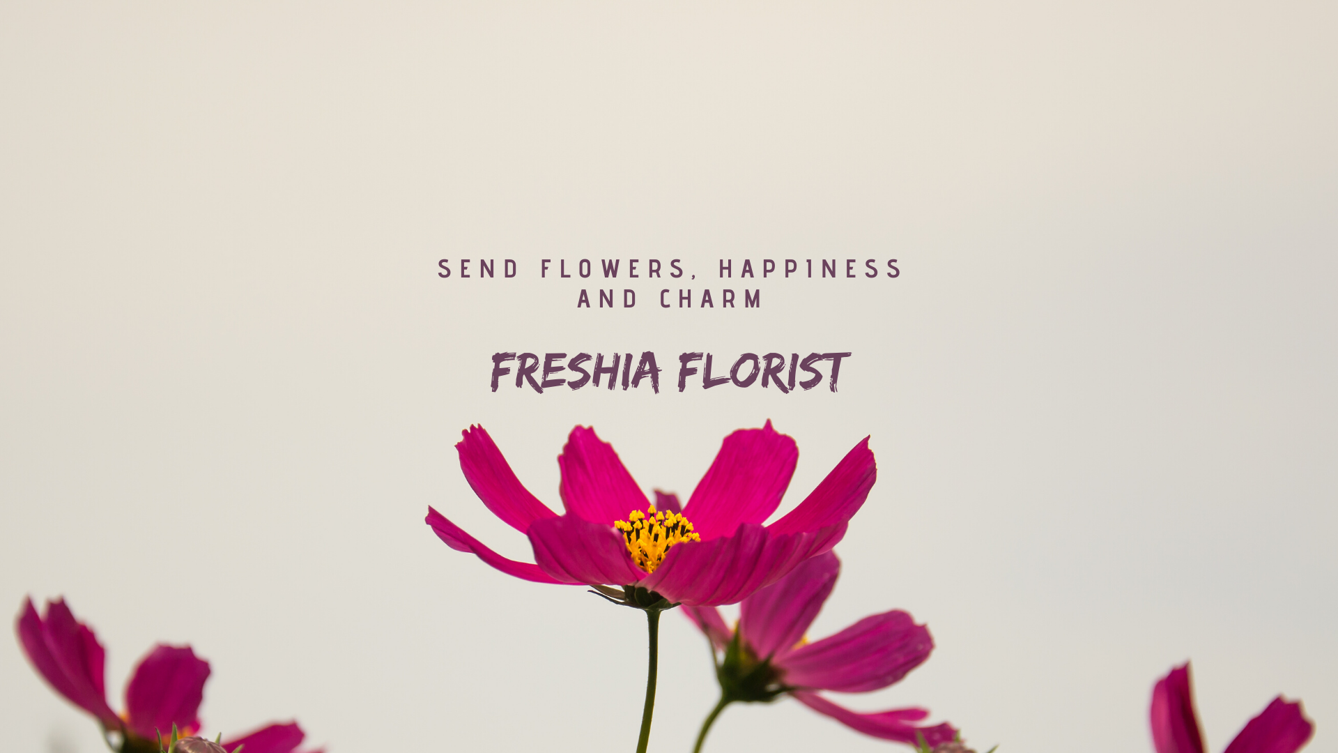 Freshia Florist