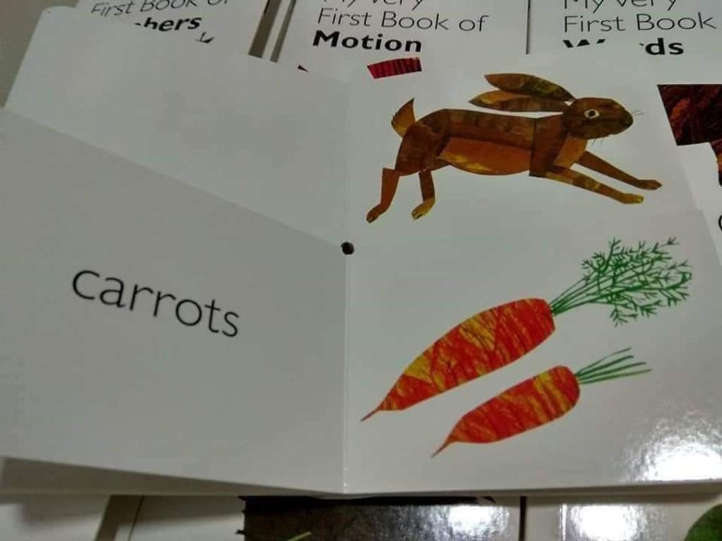 UK My Very First Library By Eric Carle 8 board books – LITTLE BOOK LOUNGE