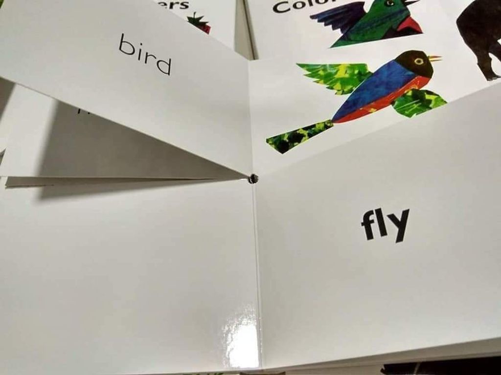 UK My Very First Library By Eric Carle 8 board books – LITTLE BOOK LOUNGE