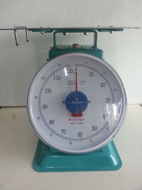 ARROW 100kg,120kg,150kg AZSF Series Single Dial-Face Weighing Spring ...