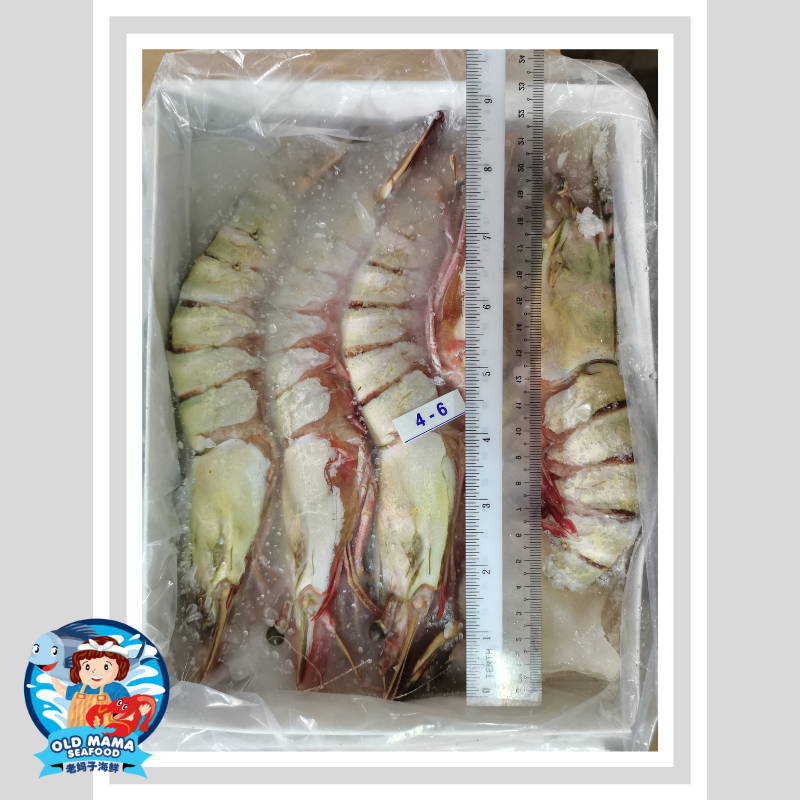 Prawn/Udang｜虾类 – Old Mama Seafood PLT