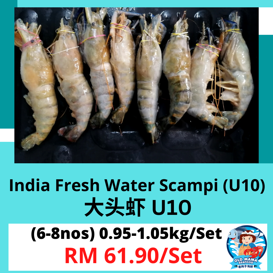 Prawn/Udang｜虾类 – Old Mama Seafood PLT
