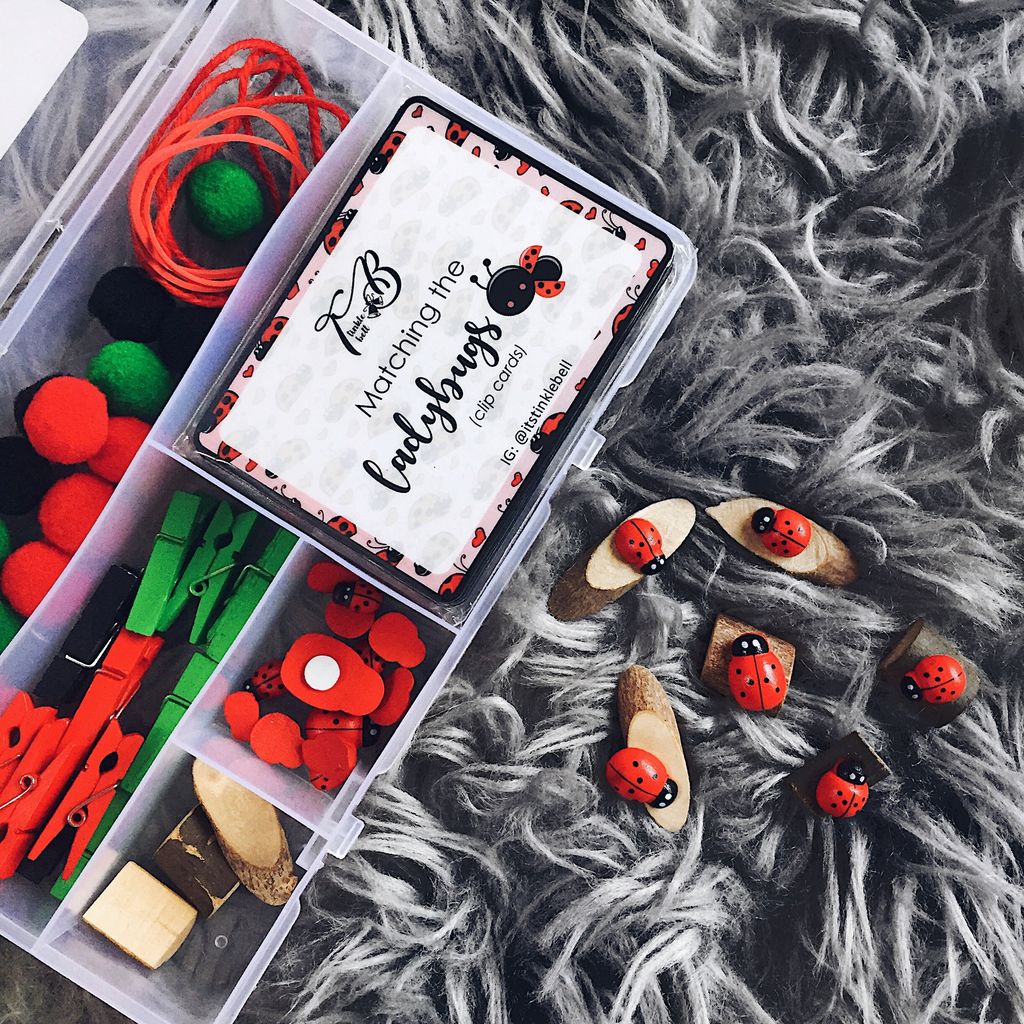 Ladybug - Travel Set – Tinklebell