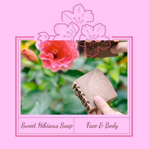 HIBISCUS HONEY SOAP for Face & Body – Summerset Soaps
