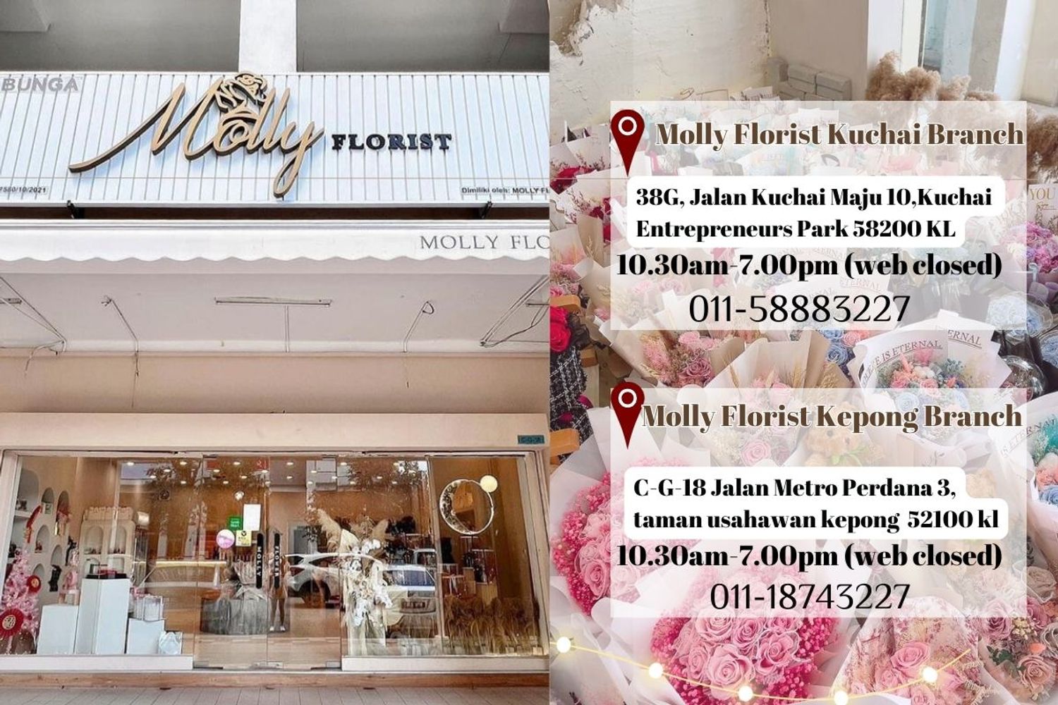 www.mollyflorist.com