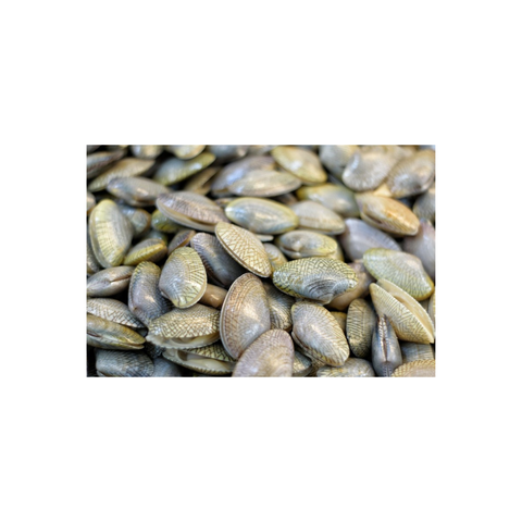 Lala (1kg/pack) – efresh