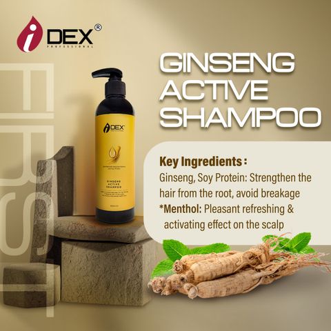 IDEX Scalp Therapy Package – IDEX Professional