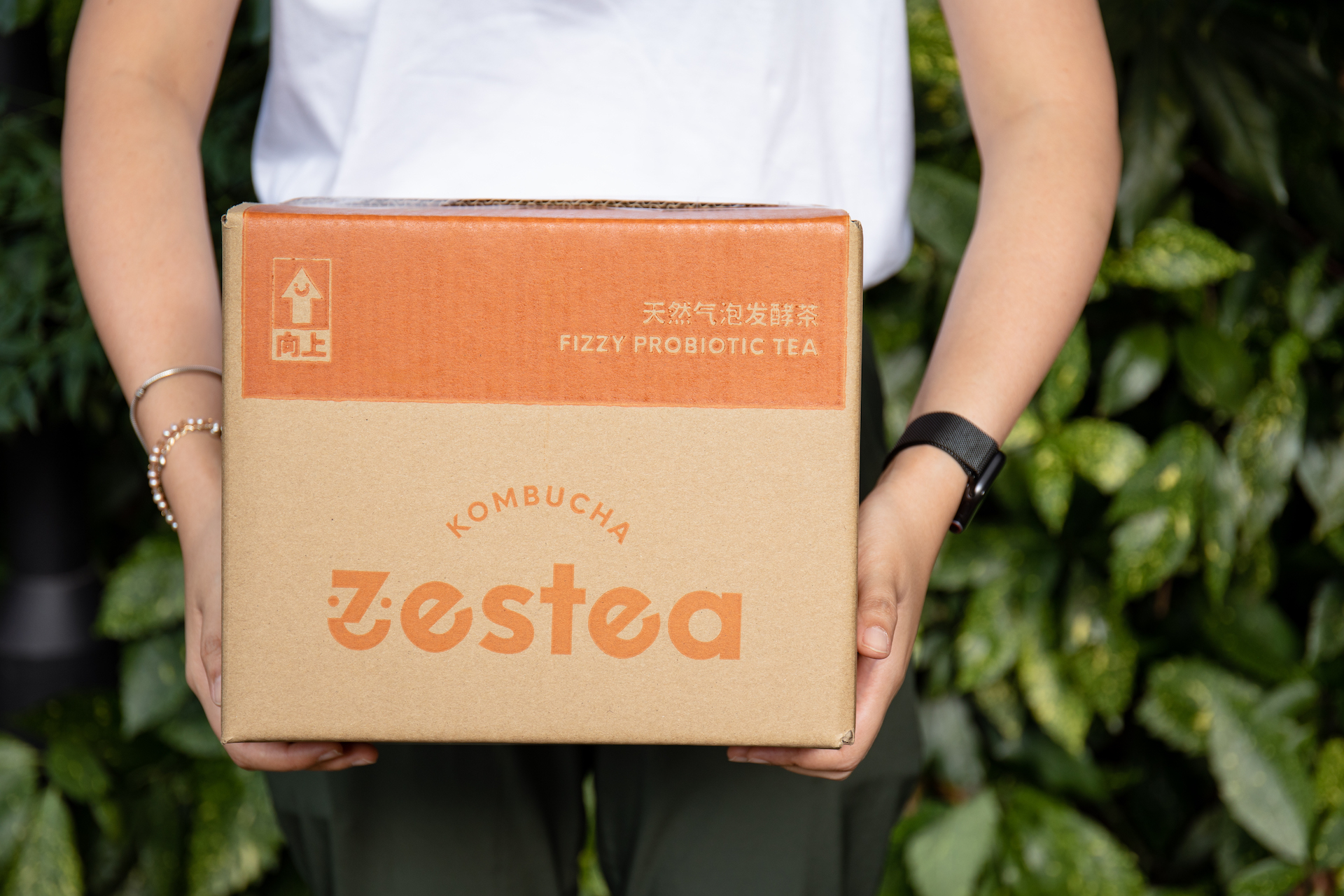 Zestea Kombucha