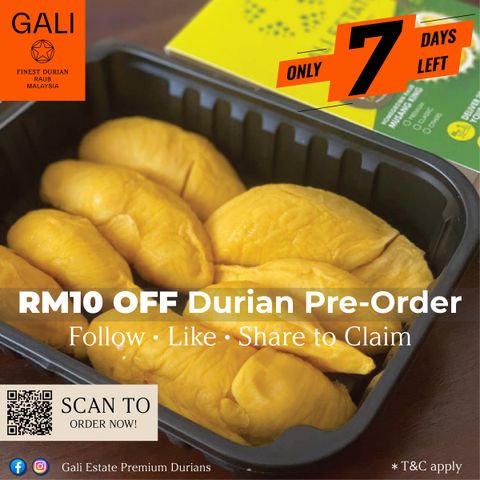 Share & Save Durian Deal – Gali Estate Premium Durians