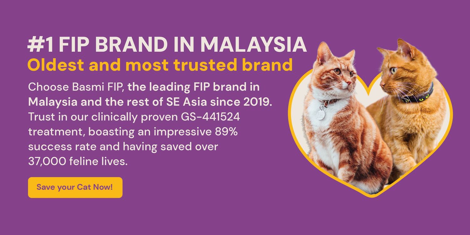 BASMI FIP Malaysia | Official Website ©️