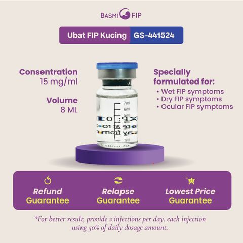 Injections – BASMI FIP Malaysia | Official Website ©️