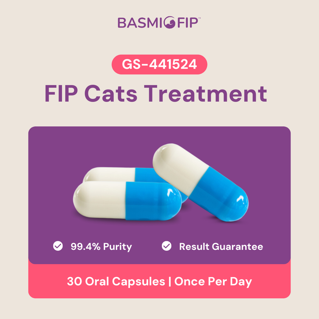 FIP Oral Capsules, 30 Oral Capsules, Cats