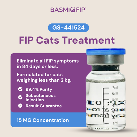 Injections – BASMI FIP Malaysia | Official Website ©️