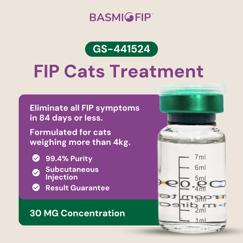 BASMI FIP Malaysia | Official Website ©️