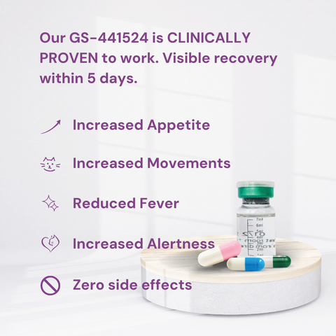 GS-441524, 20mg/ml, 8ml – BASMI FIP Malaysia | Official Website ©️