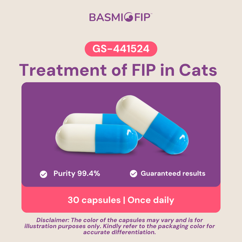BASMI FIP Malaysia | Official Website ©️