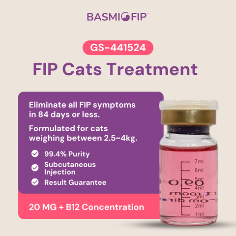 BASMI FIP Malaysia | Official Website ©️