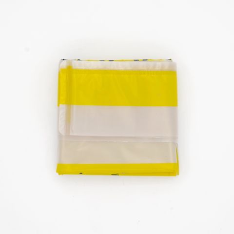 Pineapple – A Plastic Project