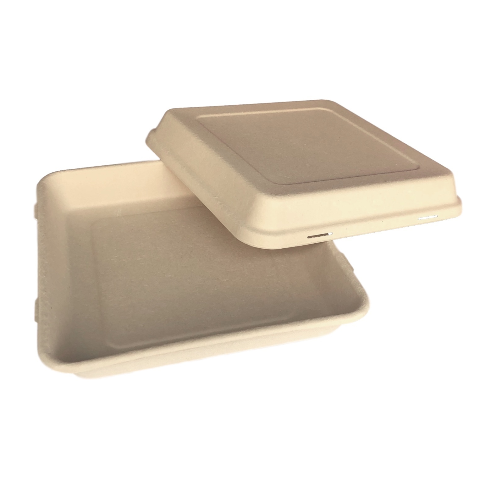 Flat Lunch Box with T-lock (9-inch/1,443 ml) – Circlepac Malaysia ...