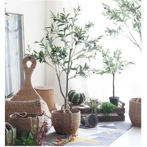 Tekkashop FDPT184 Scandinavian Style 120cm Height Plastic Plant ...
