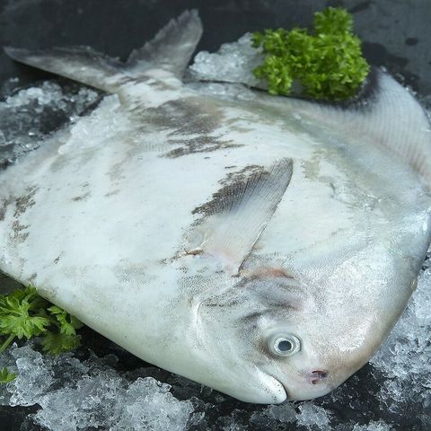 Buy Seafood Online in KL Malaysia | Fisherprise Frozen