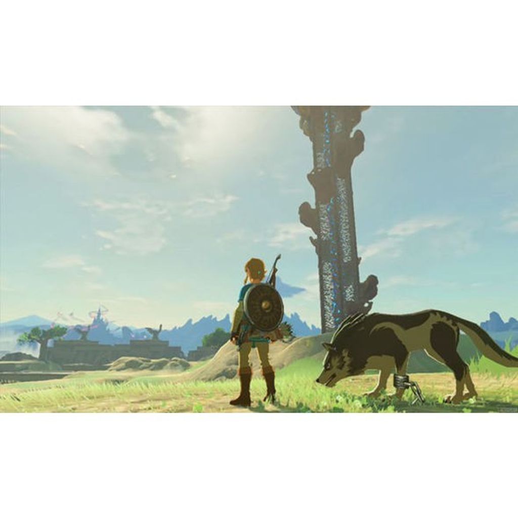Nintendo Switch Game The Legend of Zelda: Breath of the Wild 塞尔达传说 荒野之息 ...