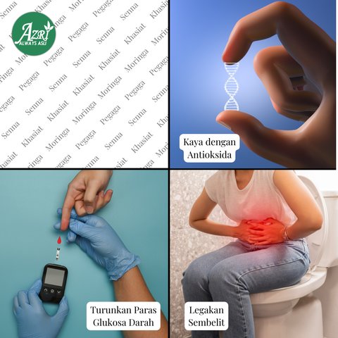 Kapsul Moringa Yusmira – Gabungan Moringa, Pegaga & Senna – Syarikat Azri