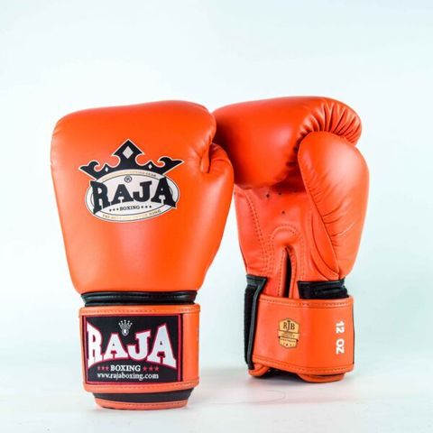 RAJA Boxing Gloves 10oz (Plain Colors) – Kick Boxers