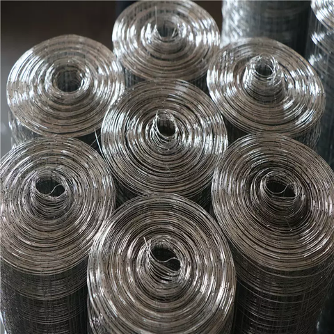 Galvanized Welded Wire Mesh – Wang Thong Hardware Online Store.