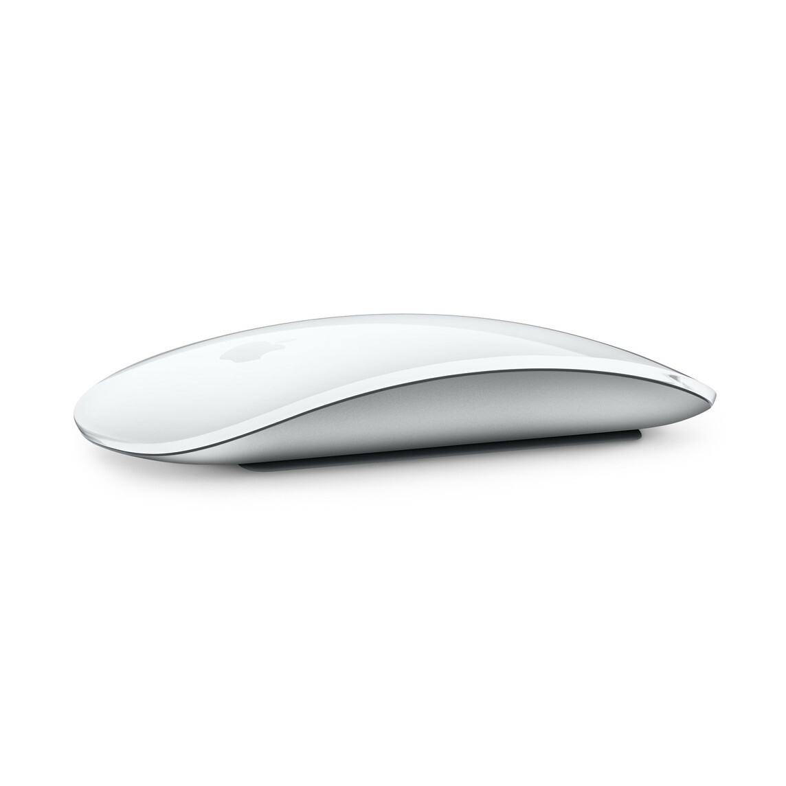 APPLE Magic Mouse - Black/White Multi-Touch Surface (2022) – EY ...