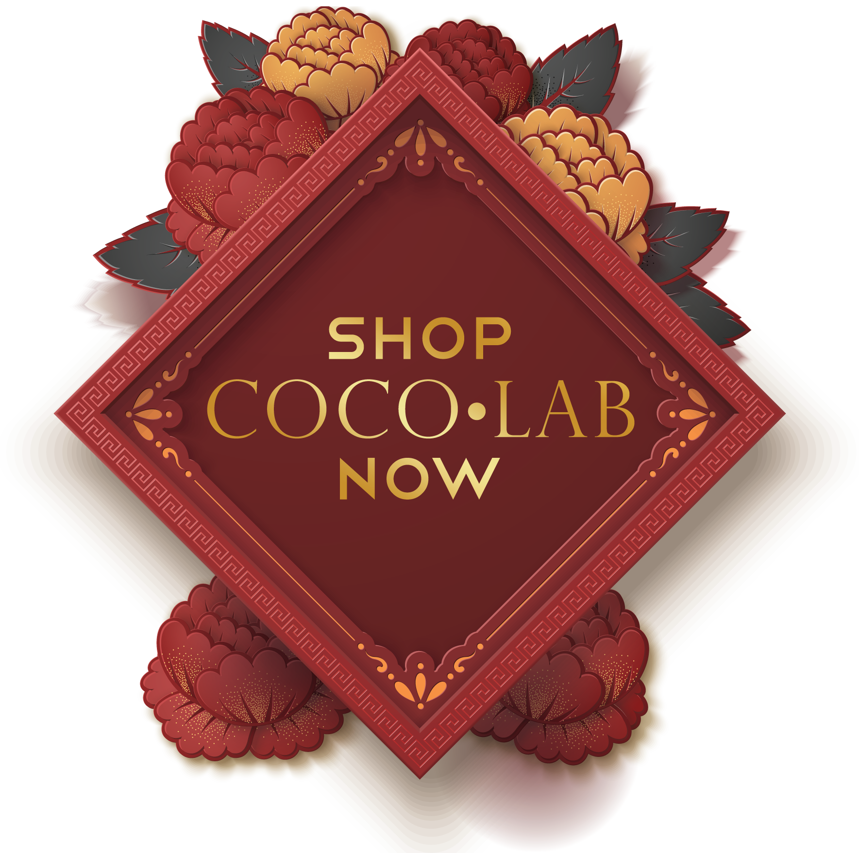 Promotions – COCOLAB - Bioactive Nutrition and Skincare