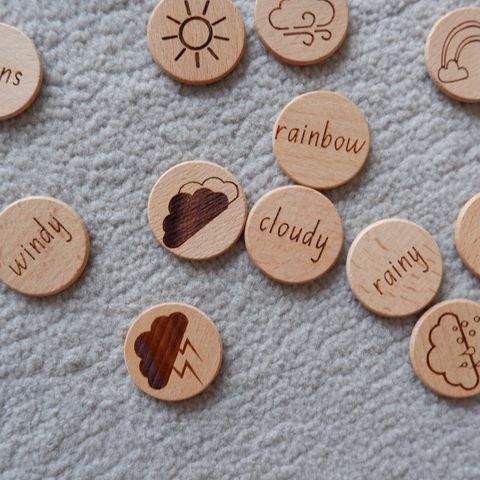 Weather Coin – The Amazing Playroom