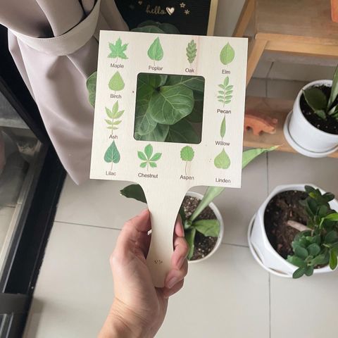 I spy with my little eye – The Amazing Playroom