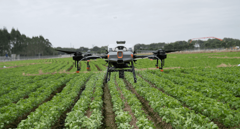 Agriculture is introducing Drones – Drones Kaki | DJI Enterprise ... Agriculture is introducing Drones – Drones Kaki | DJI Enterprise ...