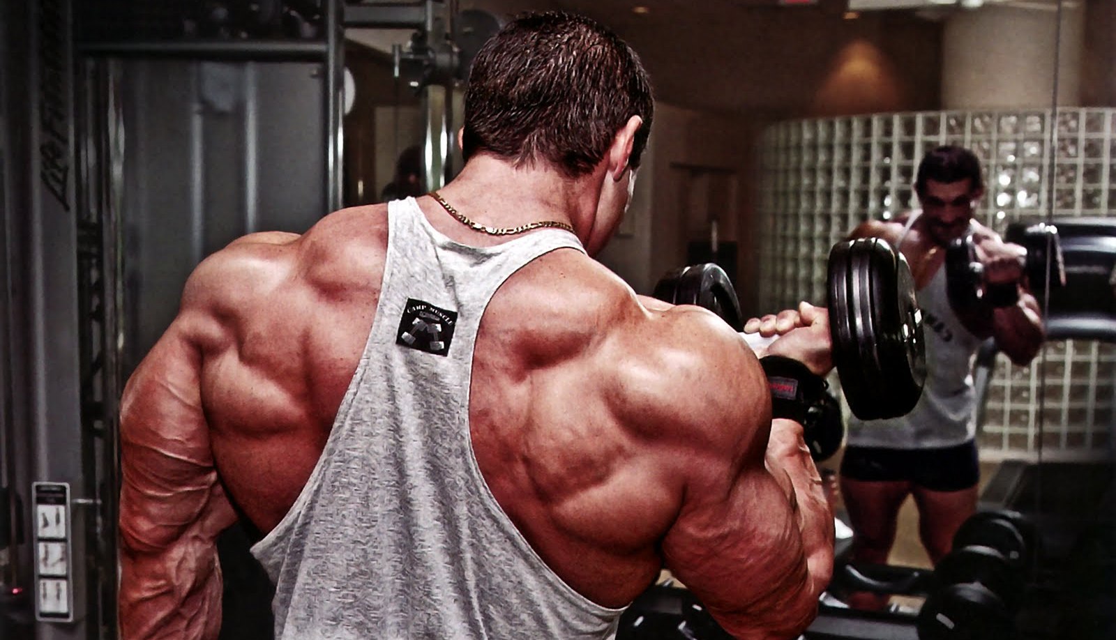Linear Vs Non Linear Program Part 1 MuscleJets Linear Vs Non Linear Program Part 1 MuscleJets