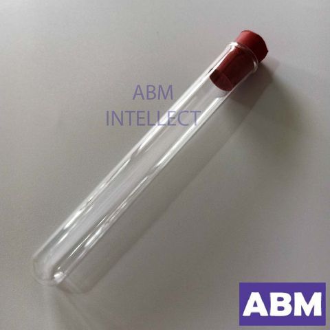 Test Tube with Rim 16 x 125mm (1pc) – AbmStore.my
