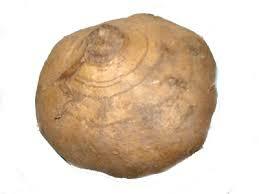 Sengkuang (400 +/-) – 21st Grocer