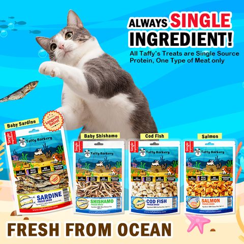 𝐂𝐎𝐃 𝐅𝐈𝐒𝐇 Premium Freeze Dried Single Ingredient – TAFFY BARKERY