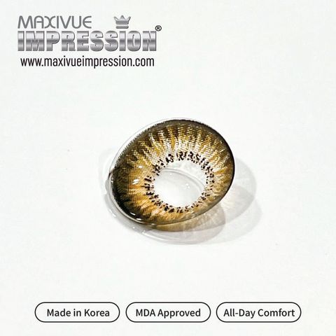 Royal Twinkle Brown Box of 2pcs – Maxivue Impression